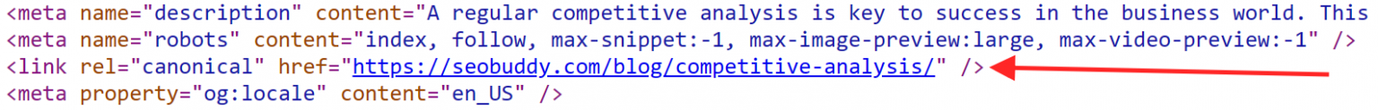 What is Canonicalization? A Complete Guide on Canonical Tags