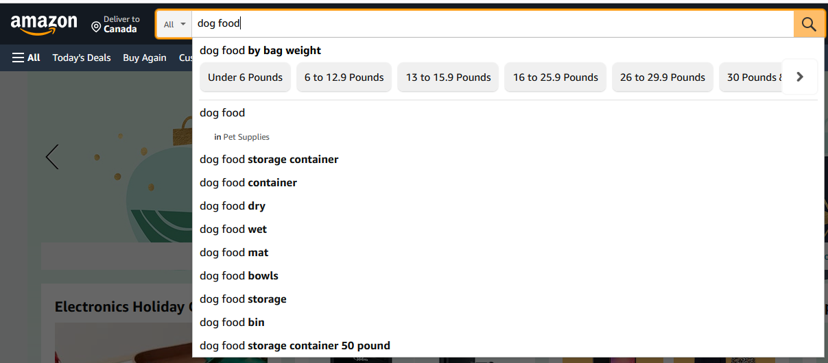 Ecommerce SEO: The Guide to Improve Your Store’s Ranking