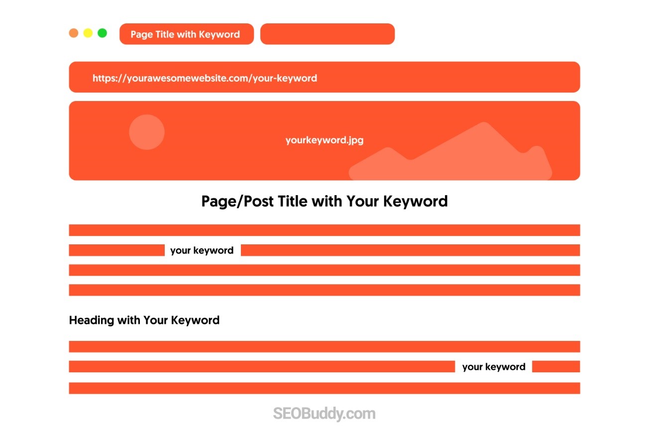 How to Create a Successful SEO Campaign for Your Website