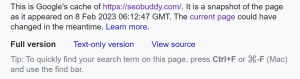 Google Cache Search: How to View Cached Pages and Website