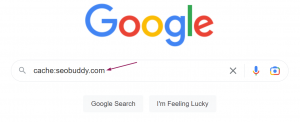 Google Cache Search: How to View Cached Pages and Website